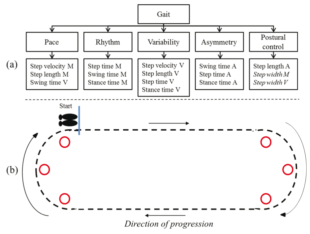 Instrumented gait assessment with a single... | F1000Research
