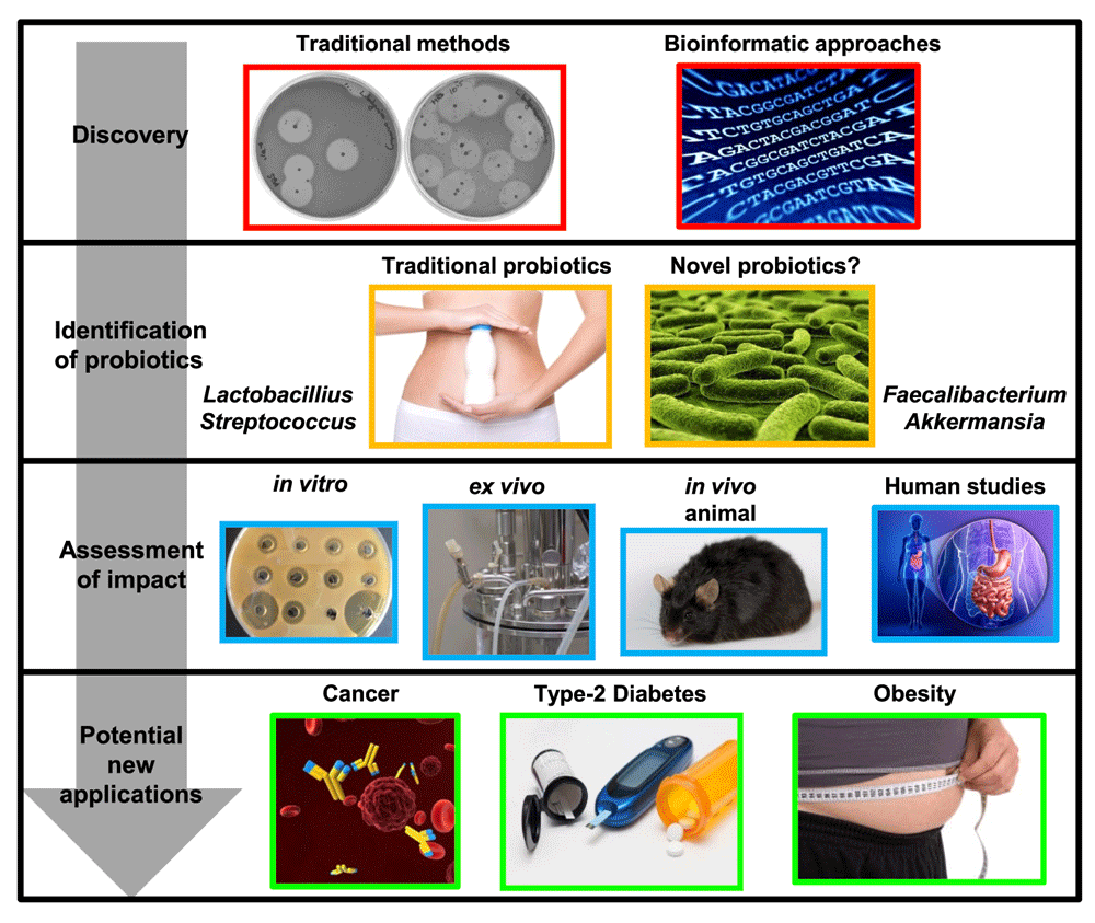 Bacteriocin production: a relatively unharnessed... | F1000Research