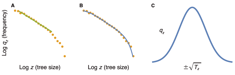 The invariances of power law size distributions | F1000Research
