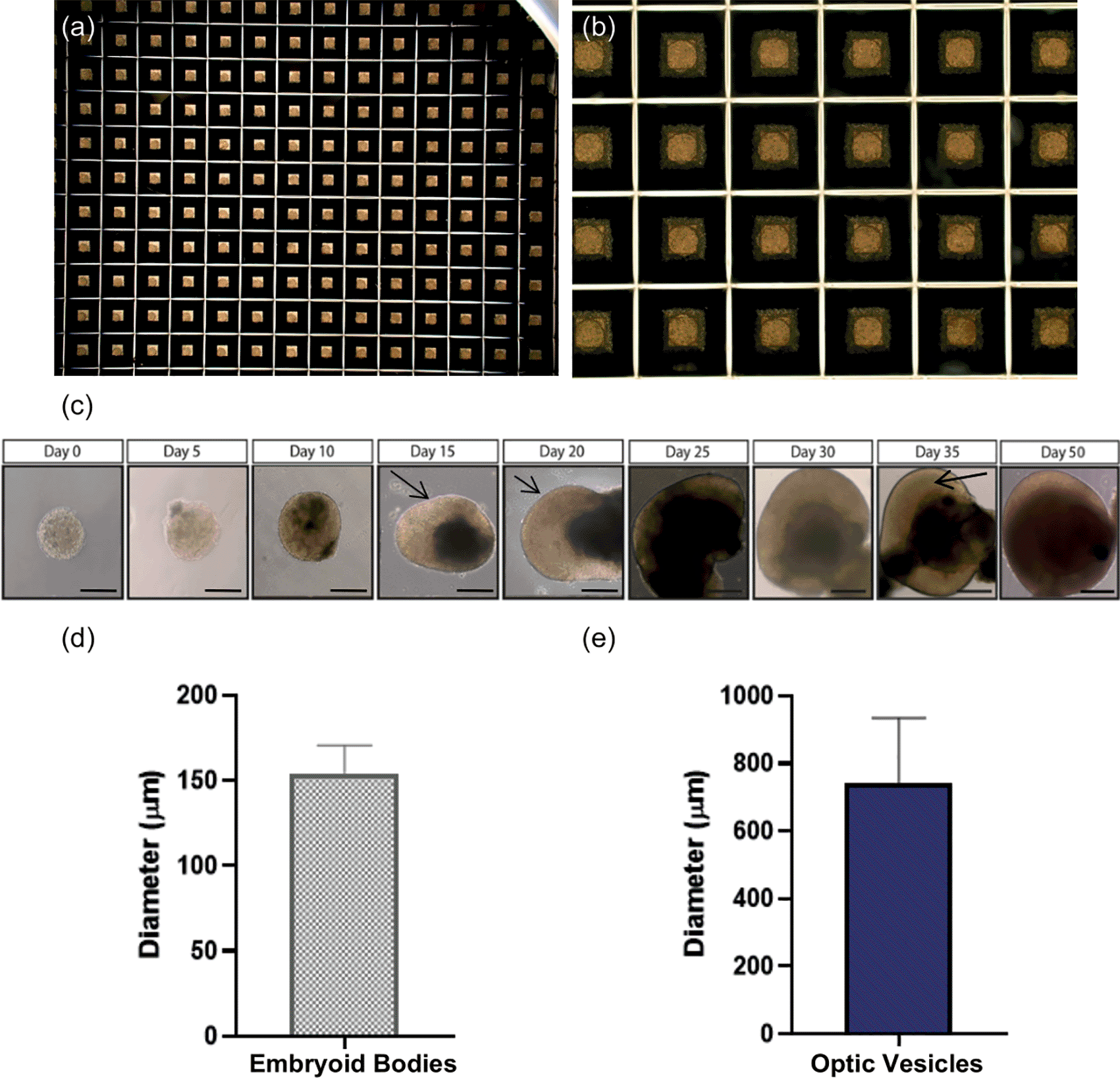Efficient embryoid-based method to improve... | F1000Research
