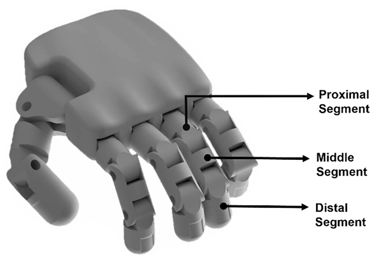 Optimization of the structure of bionic finger... | F1000Research