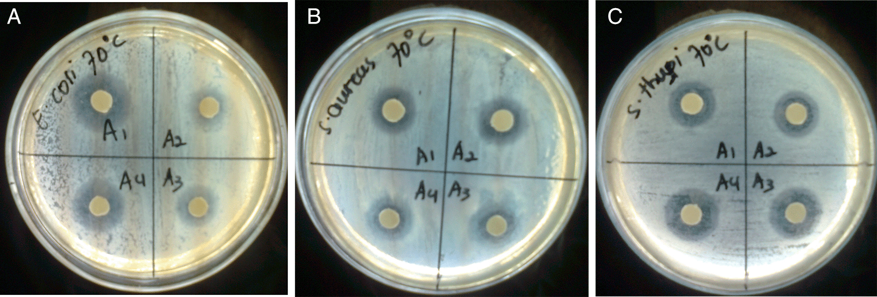 Characterization of lactic acid bacteria isolated... | F1000Research
