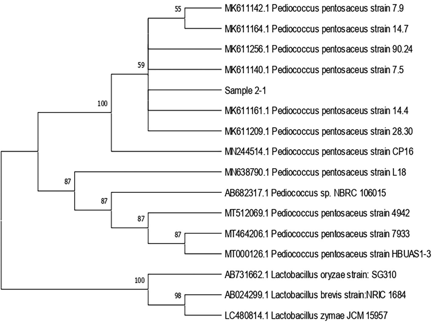 Characterization of lactic acid bacteria isolated... | F1000Research