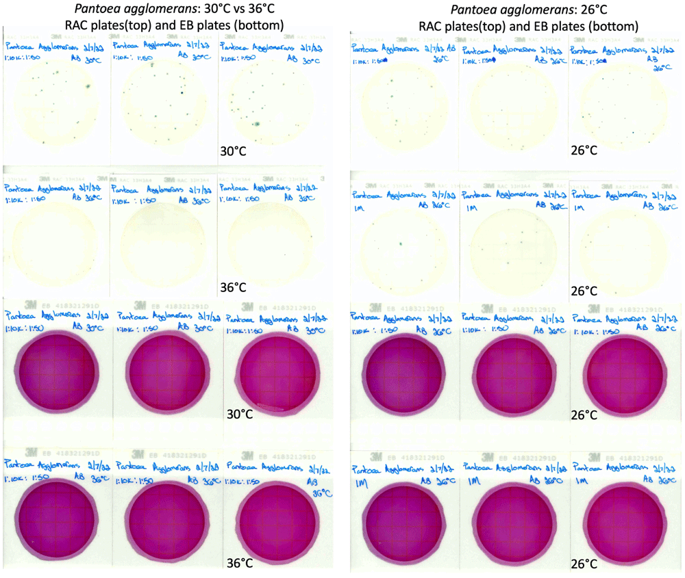 Pathogenic Enterobacteriaceae require multiple... | F1000Research