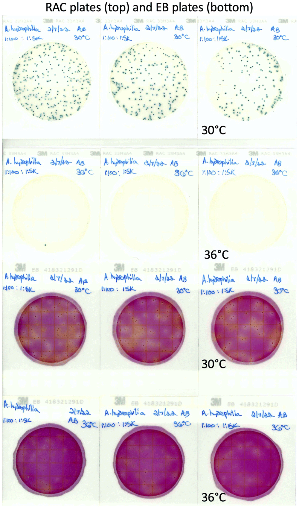 Pathogenic Enterobacteriaceae require multiple... | F1000Research