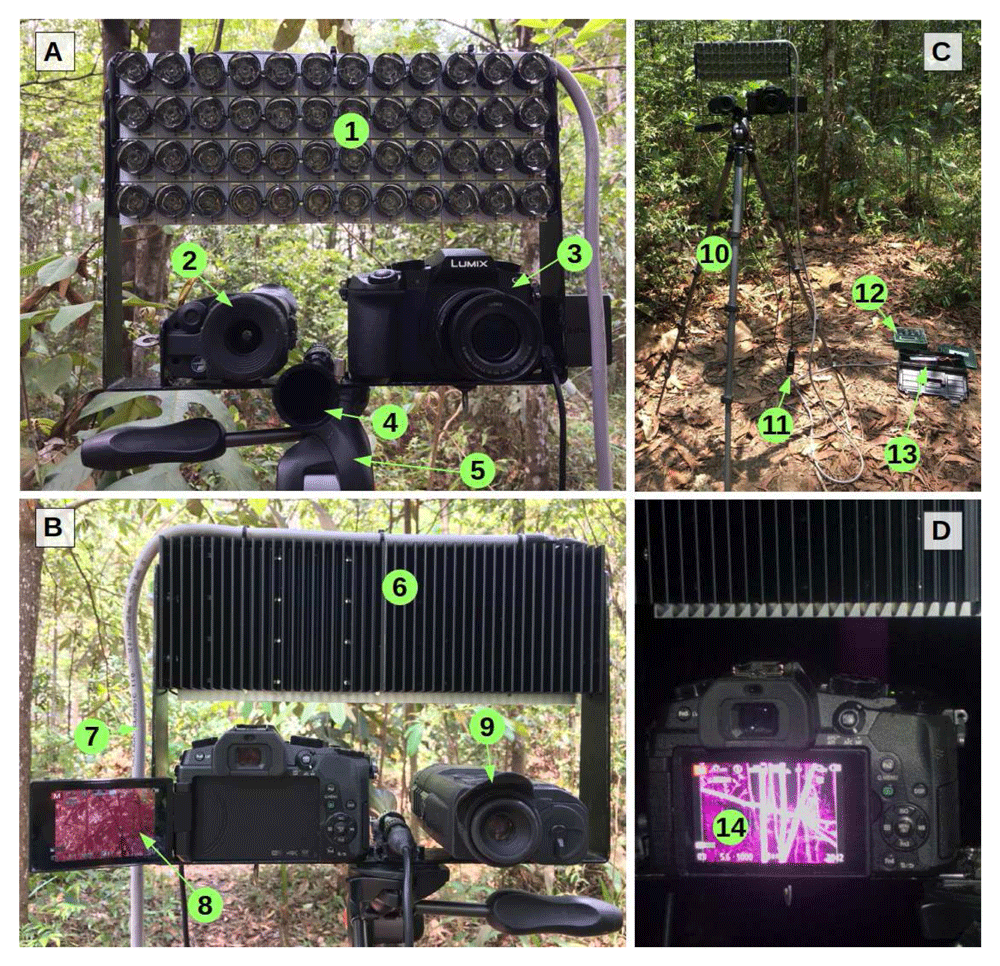 Sampling flying bats with thermal and near-infrared... | F1000Research