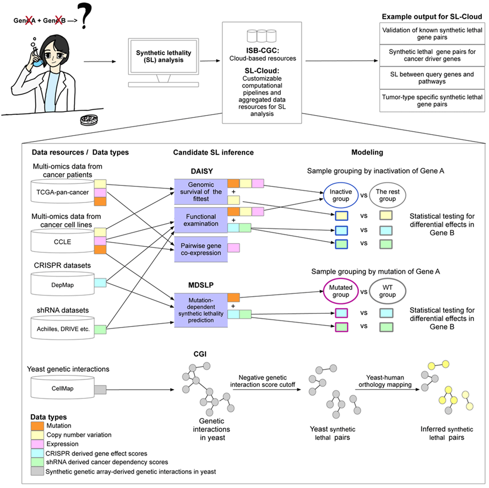 SL-Cloud: A Cloud-based resource to support... | F1000Research