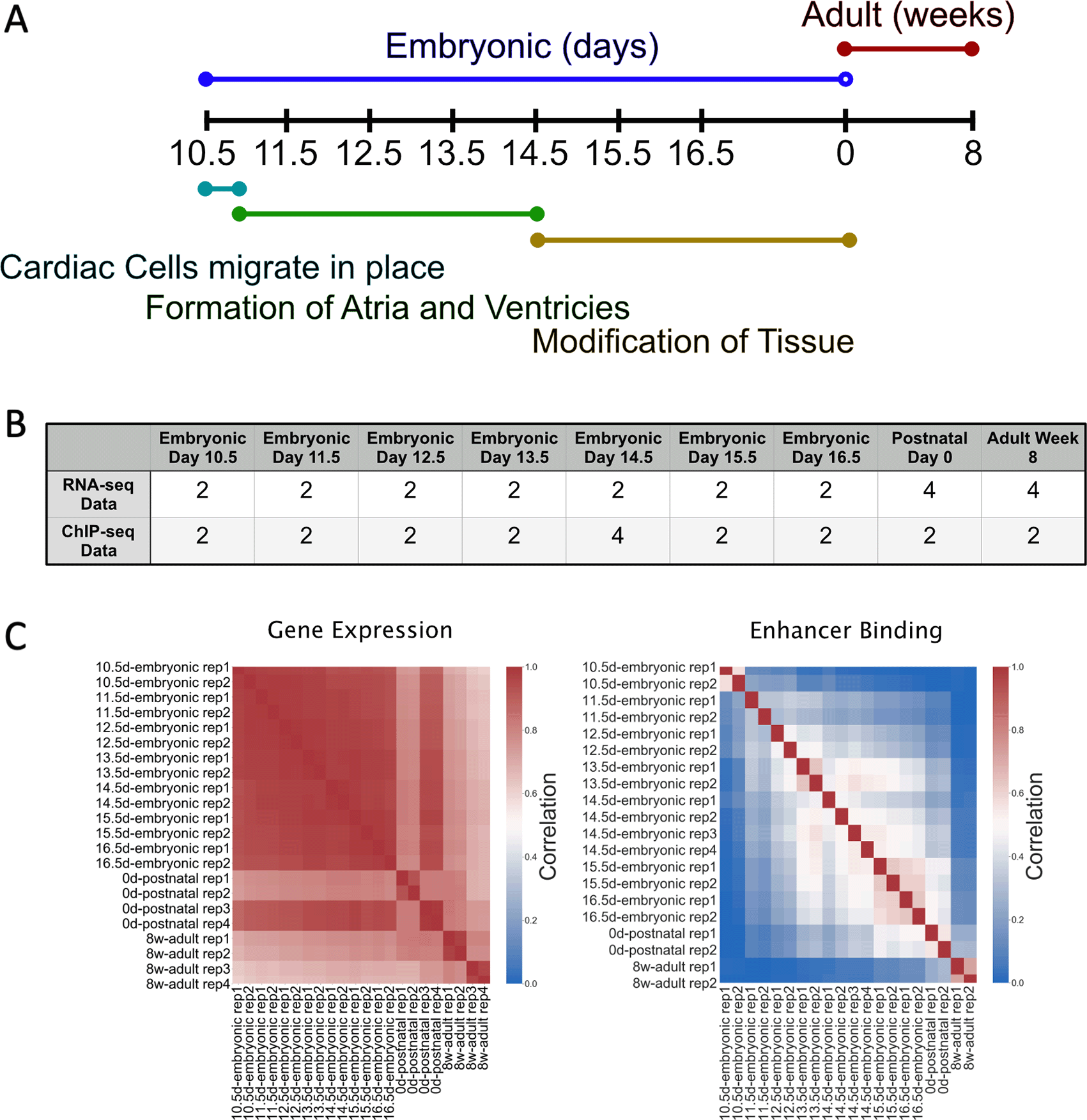 TReNCo: Topologically associating domain (TAD)... | F1000Research