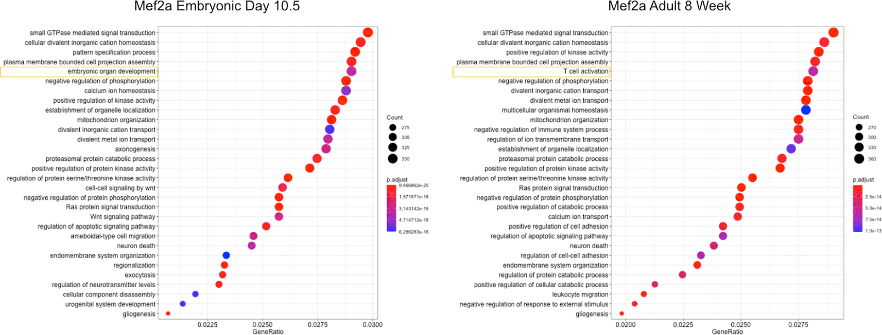 TReNCo: Topologically associating domain (TAD)... | F1000Research
