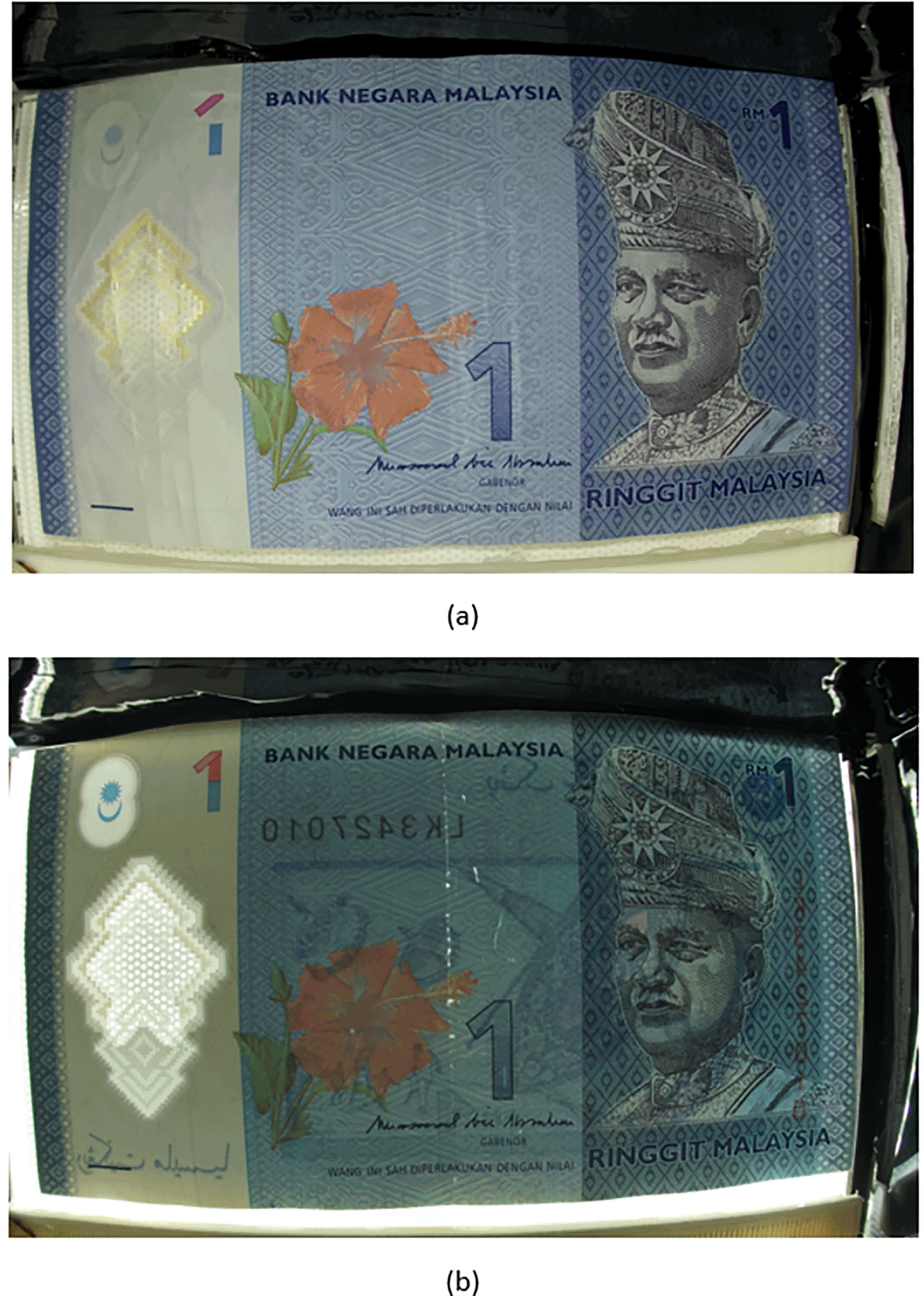 One- and Five-Ringgit Malaysia banknotes reader... | F1000Research