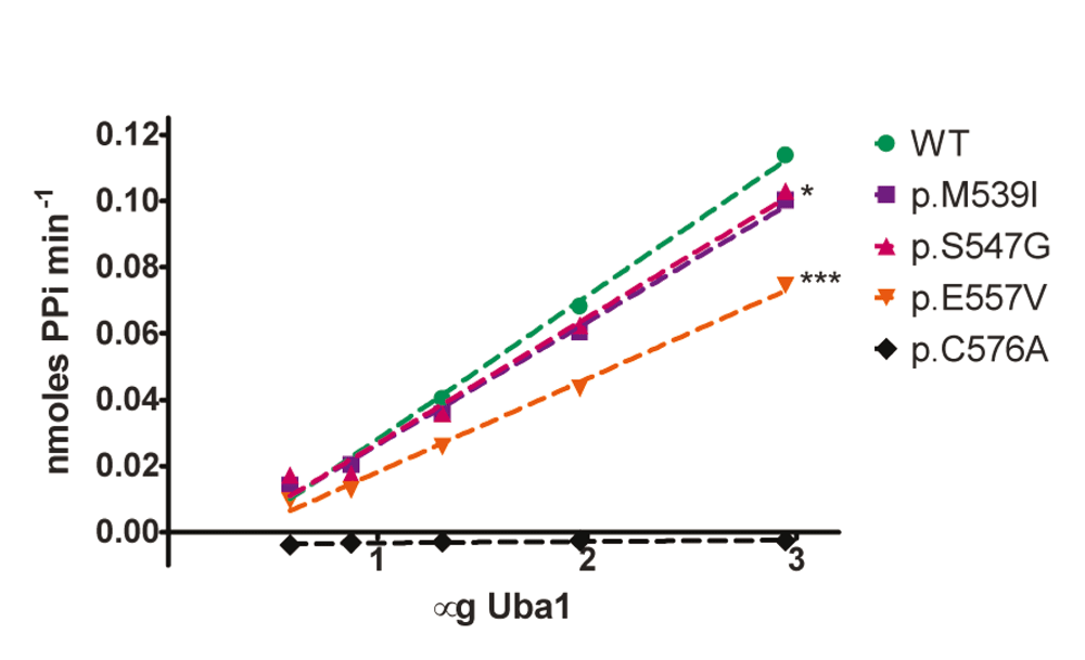 Functional characterizations of rare UBA1... | F1000Research