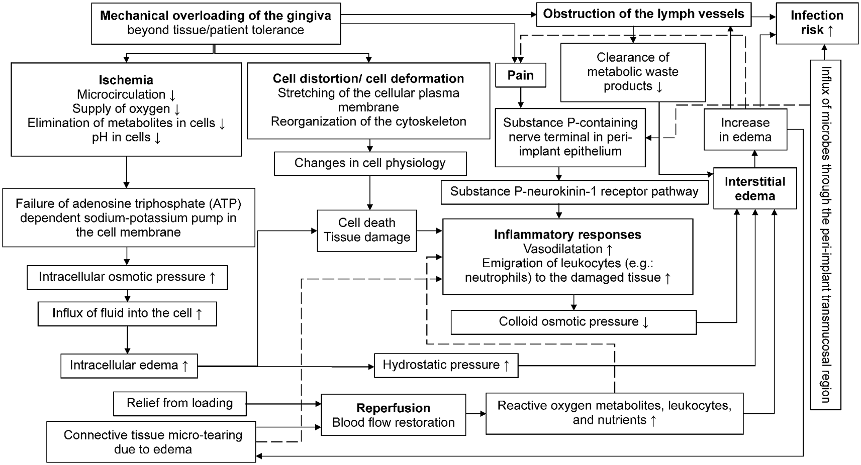 Deep tissue injury as possible pathogenesis of... | F1000Research
