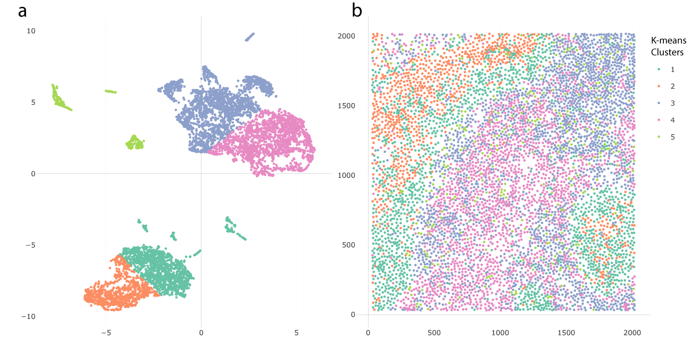 Interactive visualization of spatial omics... | F1000Research