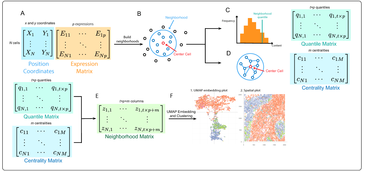 Interactive visualization of spatial omics... | F1000Research