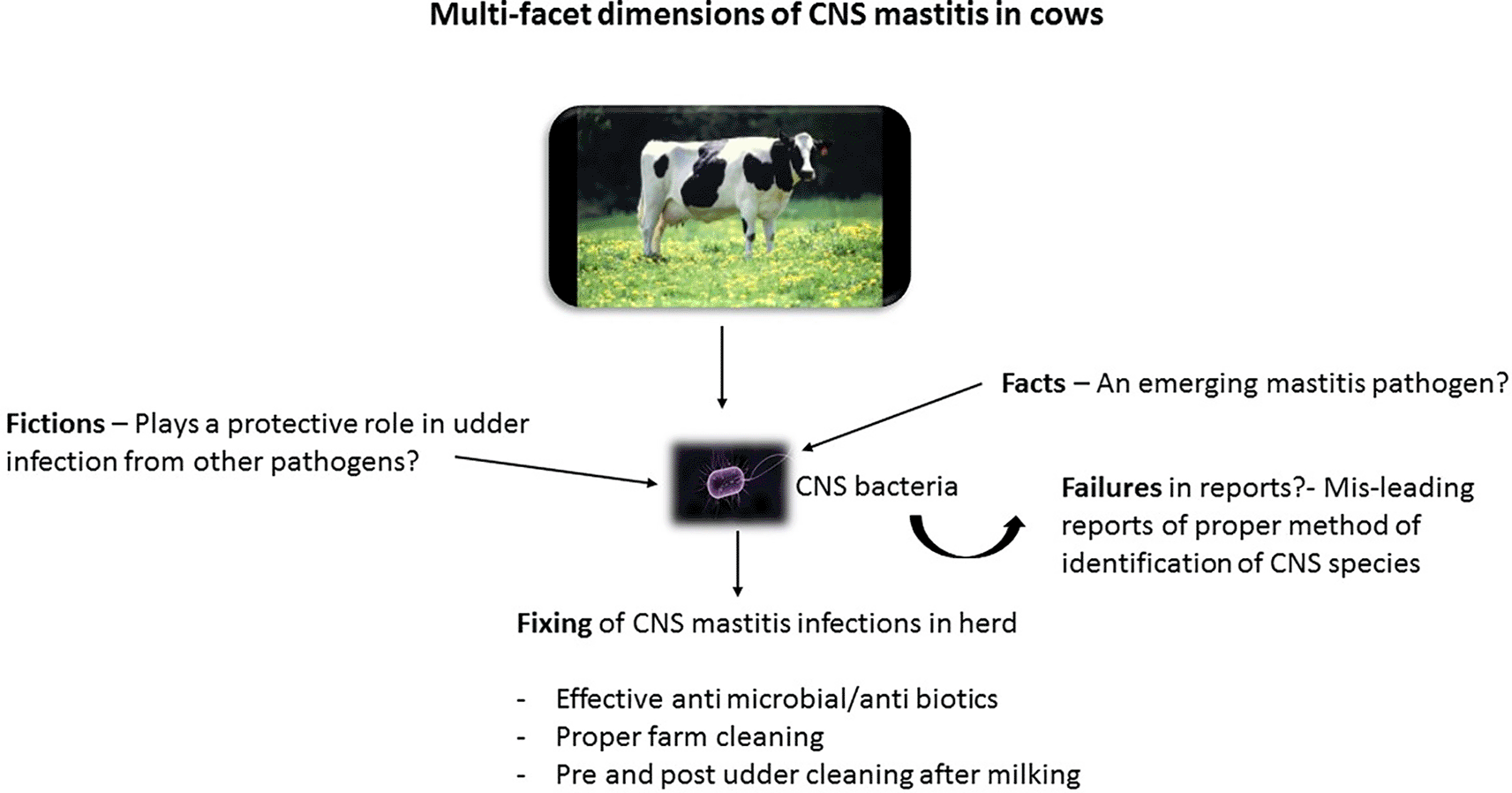 Coagulase-negative staphylococci as an evolving... | F1000Research