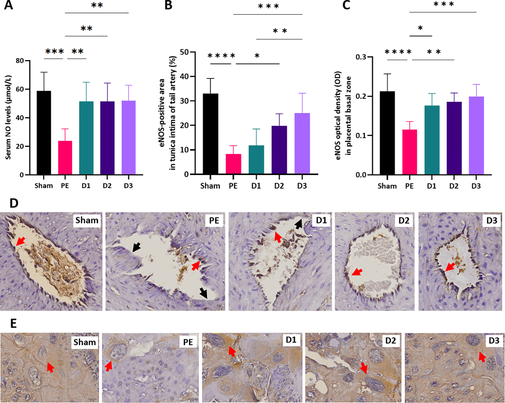 Physalis angulata leaf extract ameliorates... | F1000Research