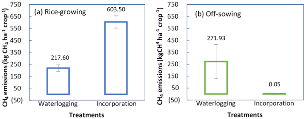 Rice straw decomposition in paddy surface water... | F1000Research