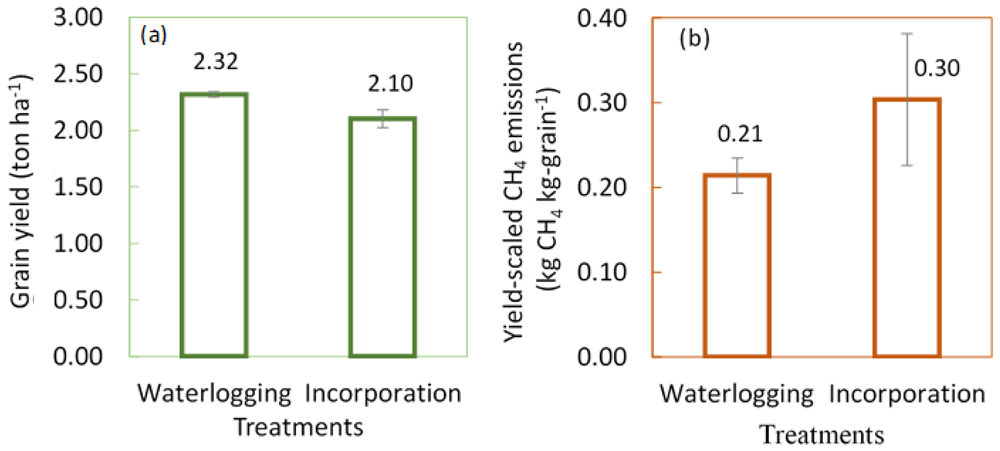 Rice straw decomposition in paddy surface water... | F1000Research