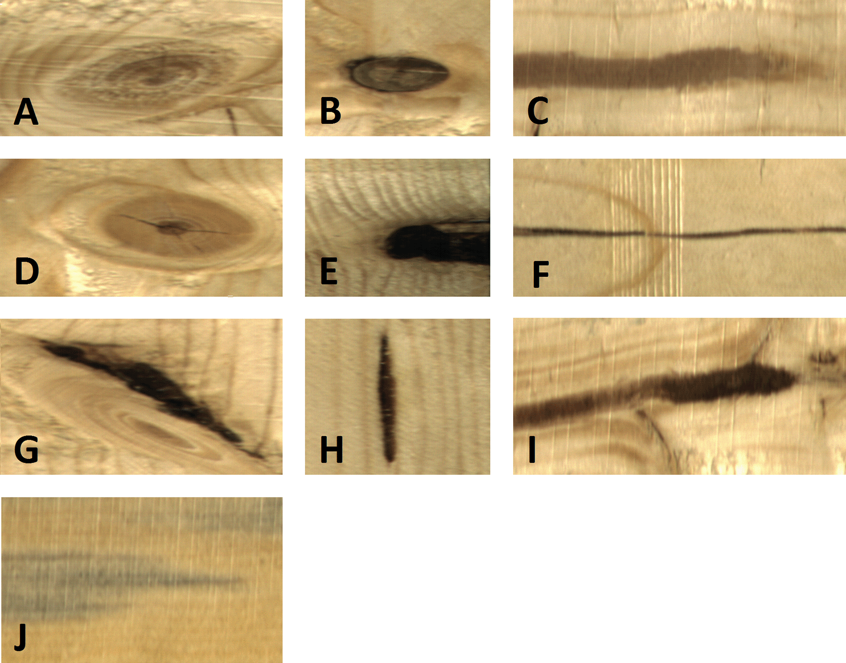 A large-scale image dataset of wood surface... | F1000Research
