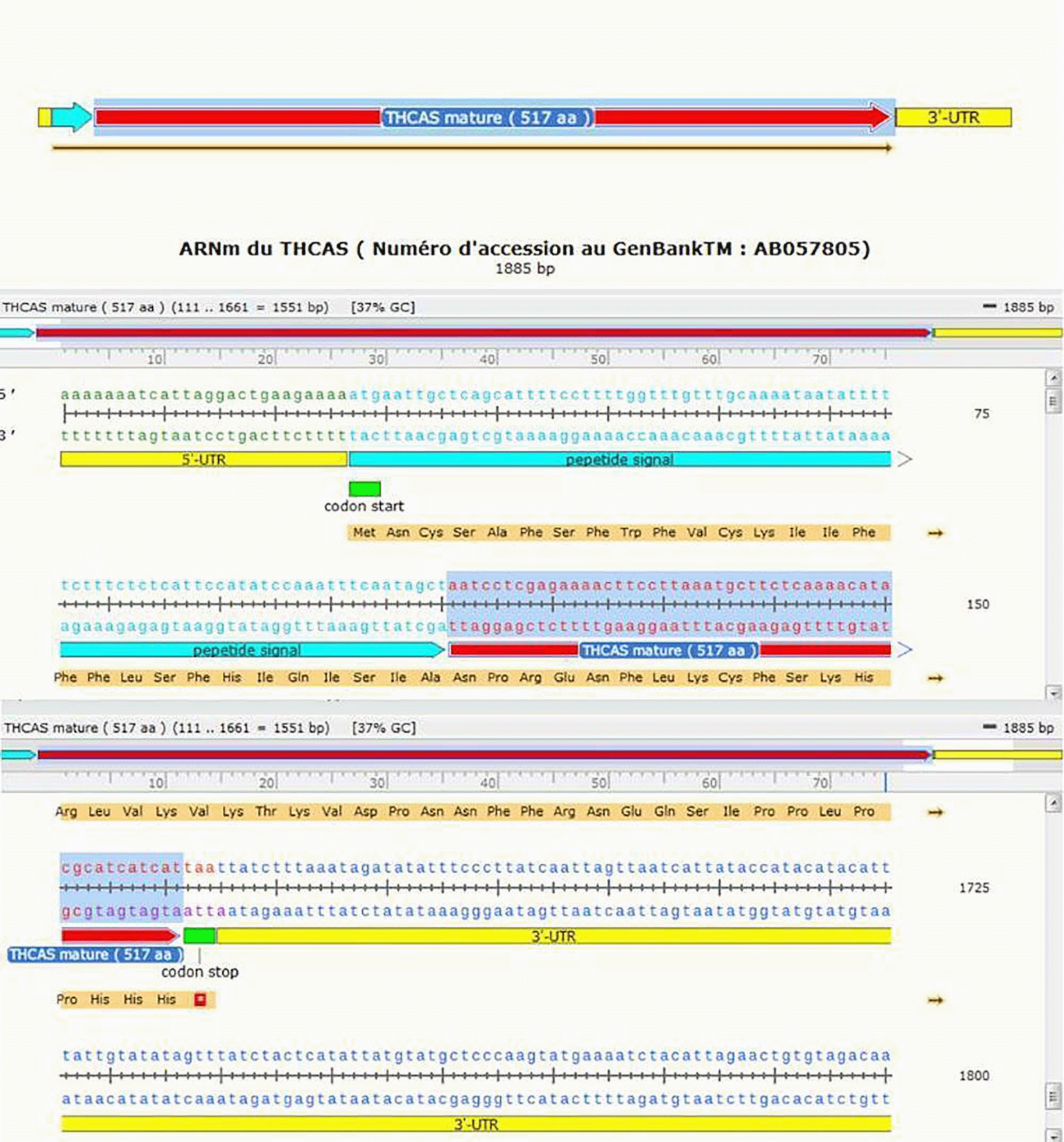 In silico and in vitro analysis of THCA synthase... | F1000Research