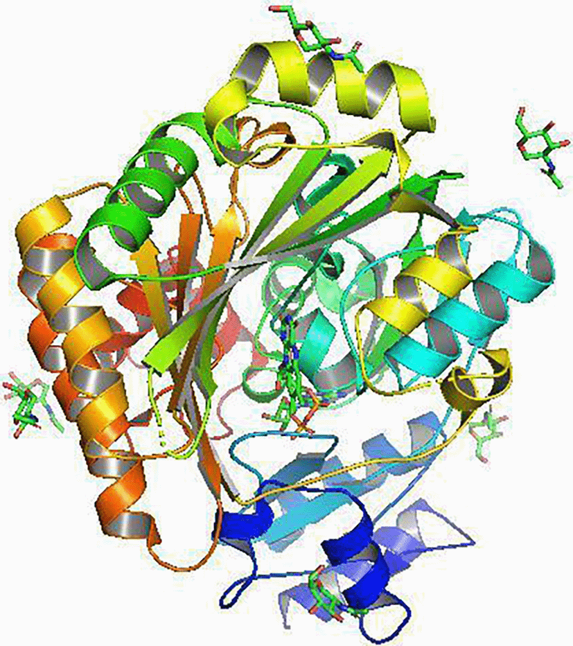 In silico and in vitro analysis of THCA synthase... | F1000Research