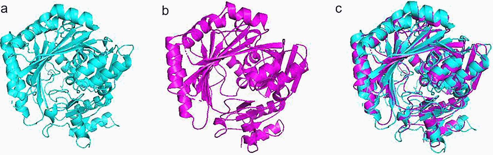 In silico and in vitro analysis of THCA synthase... | F1000Research