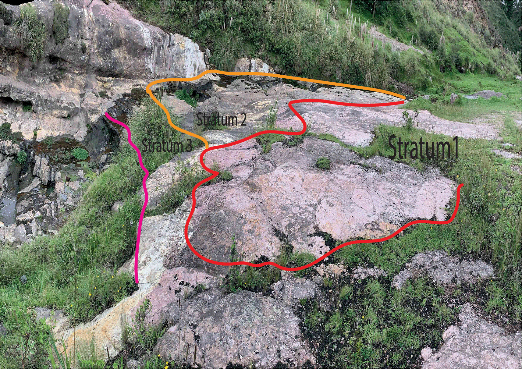 Mastodon footprints found to be water erosion in... | F1000Research