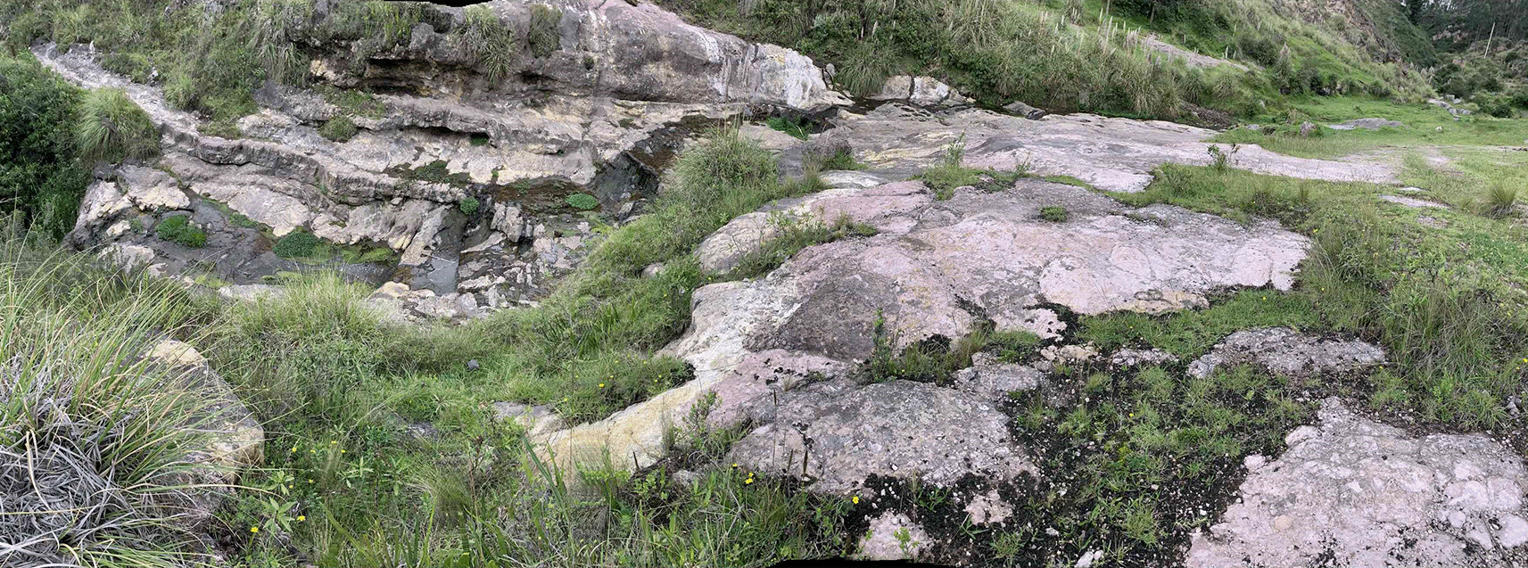 Mastodon footprints found to be water erosion in... | F1000Research