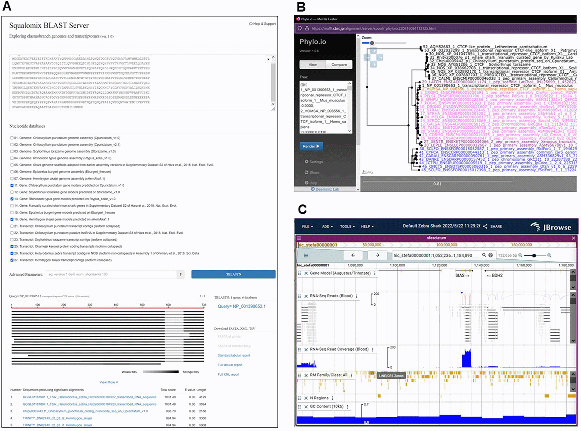 Squalomix: shark and ray genome analysis consortium... | F1000Research