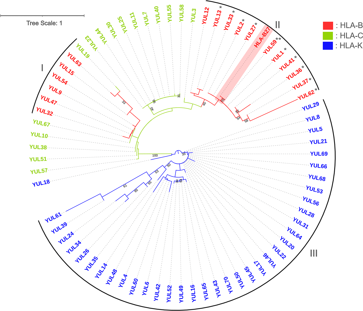 HLA class I and discoveries of the HLA-K... | F1000Research