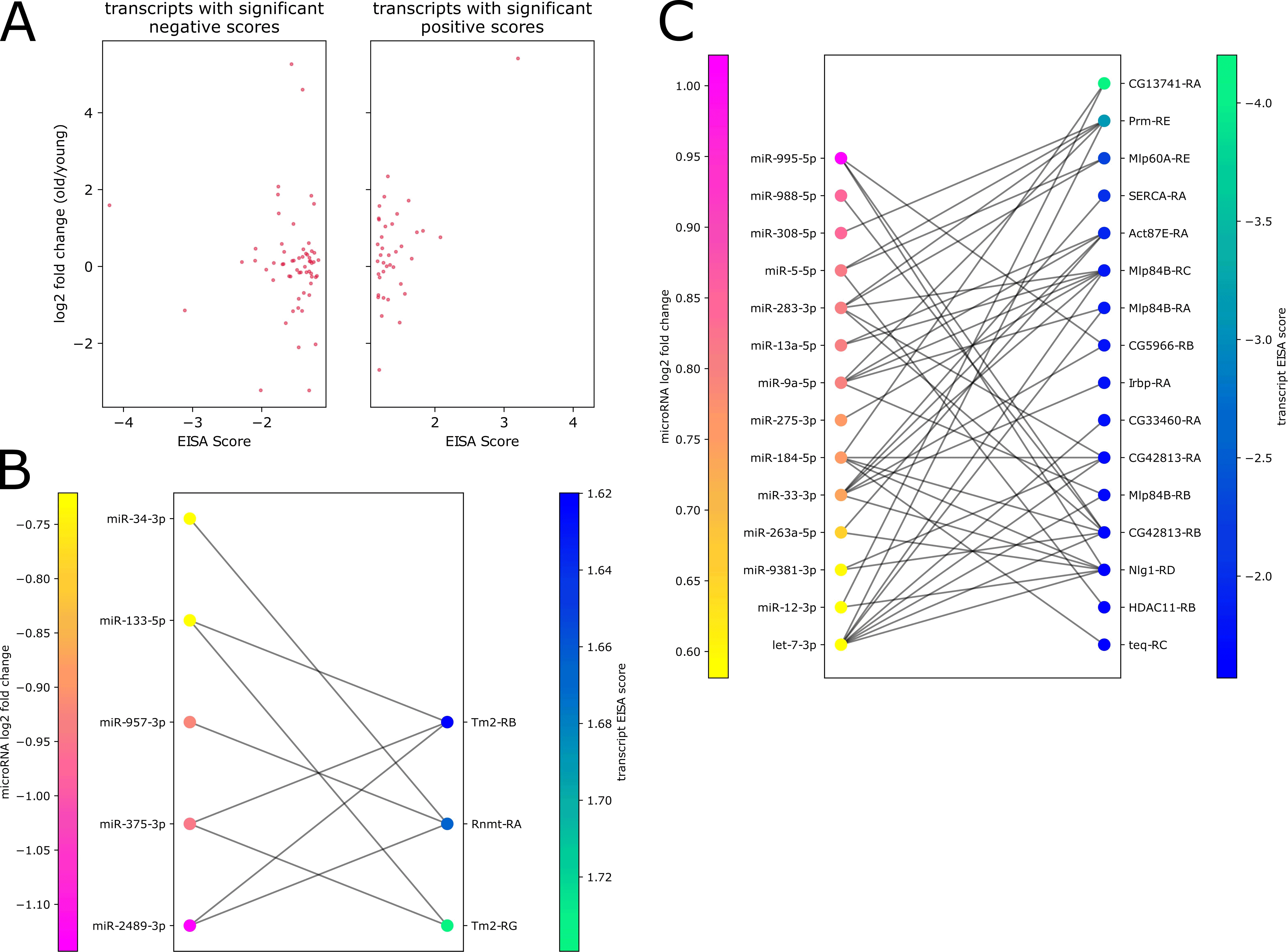 Diurnal small RNA expression and... | F1000Research