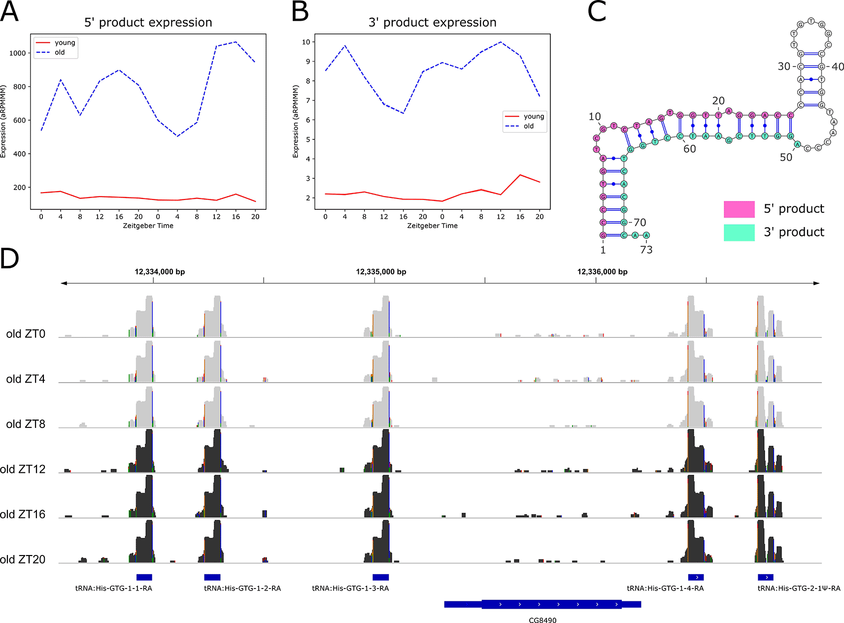 Diurnal small RNA expression and... | F1000Research