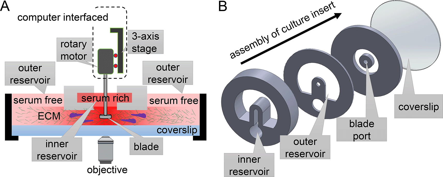 Patterning ECM microstructure to investigate 3D... | F1000Research