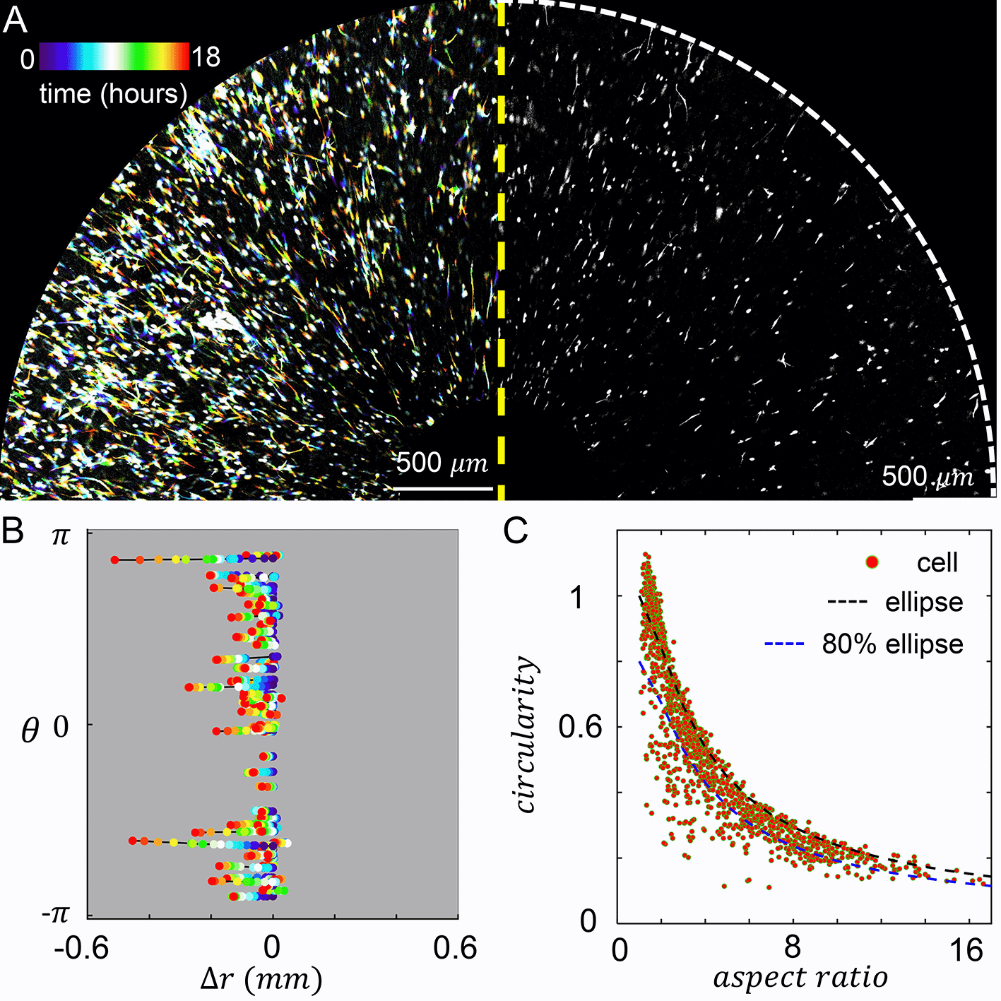 Patterning ECM microstructure to investigate 3D... | F1000Research