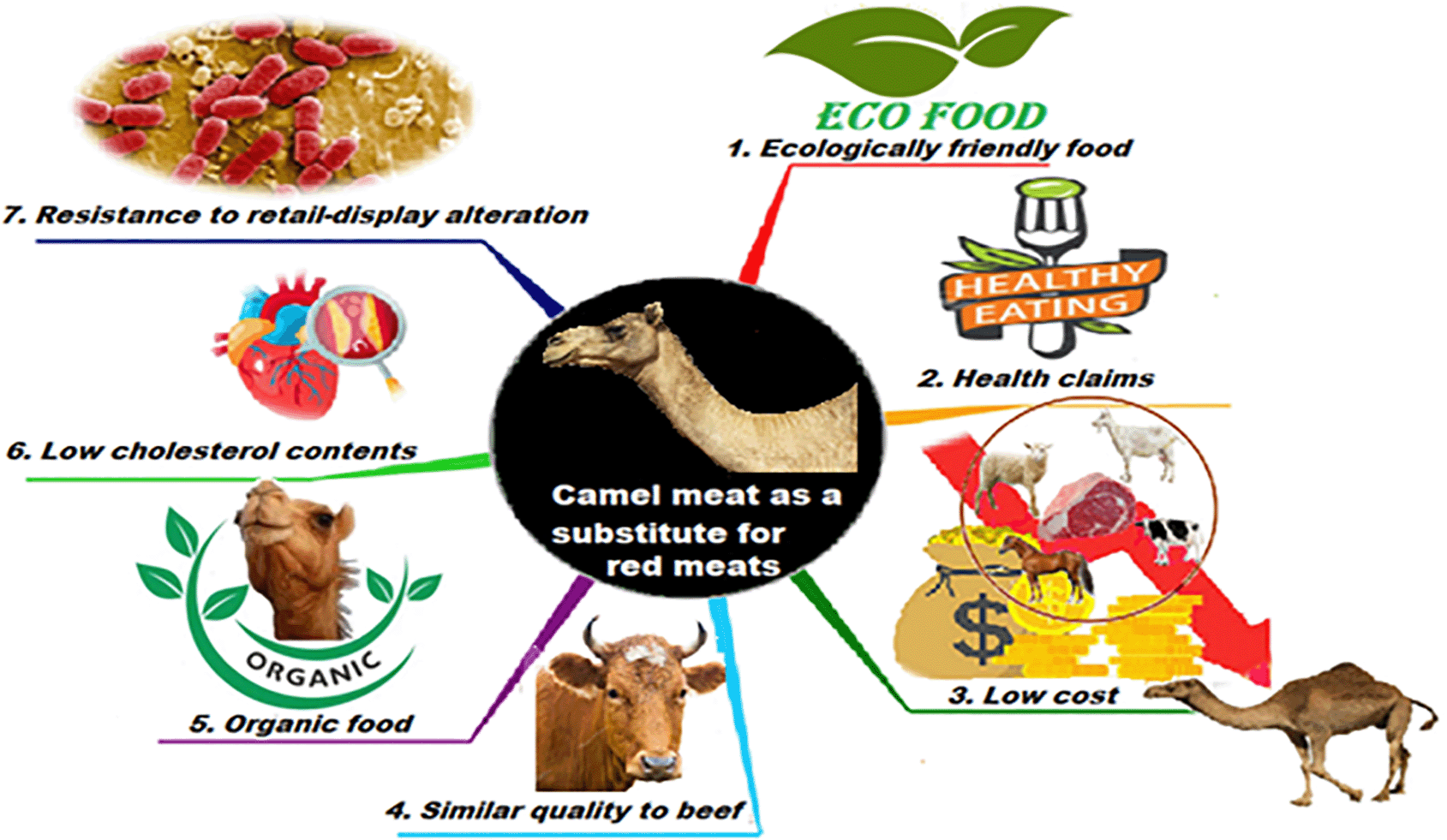 The one-humped camel: The animal of future,... | F1000Research