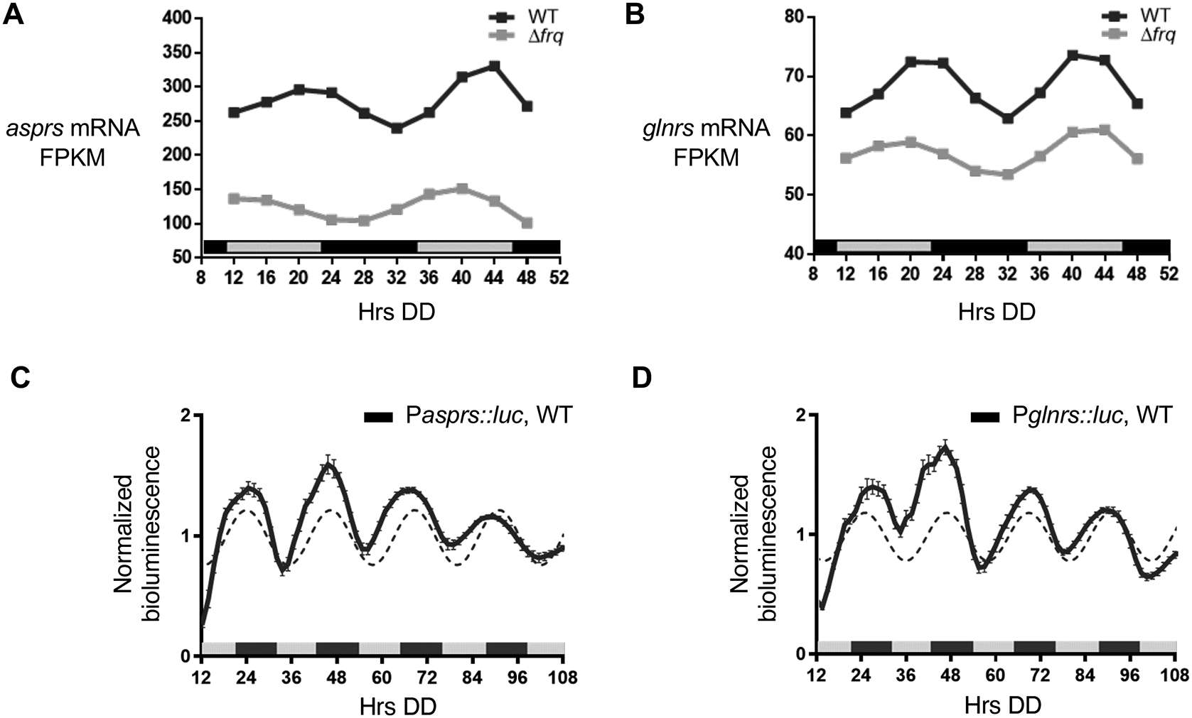 Circadian clock control of tRNA synthetases in... | F1000Research