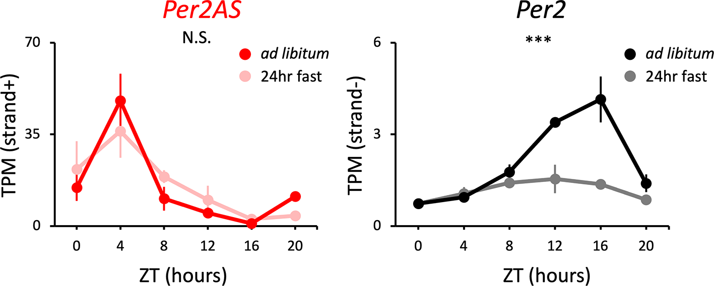 Genetic and environmental perturbations alter the... | F1000Research