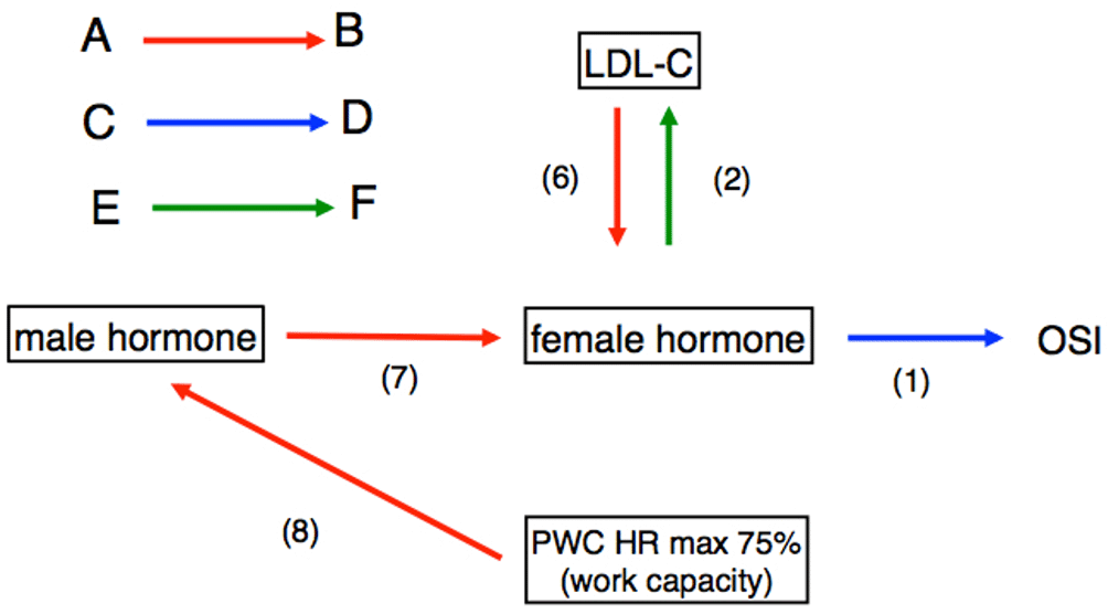 Chemical equilibrium model comprising calcaneus... | F1000Research