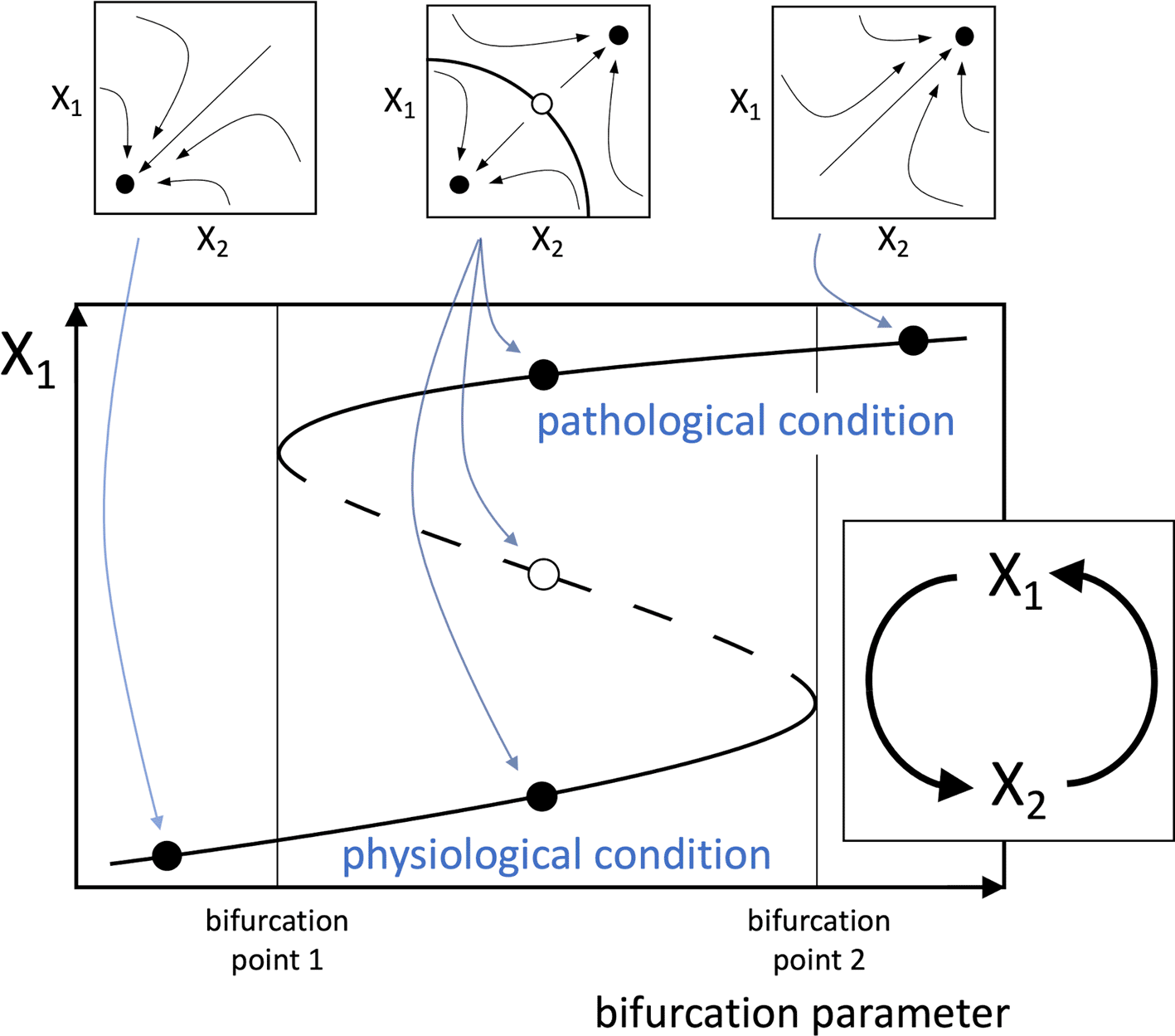 A general hypothesis of multistable systems in... | F1000Research
