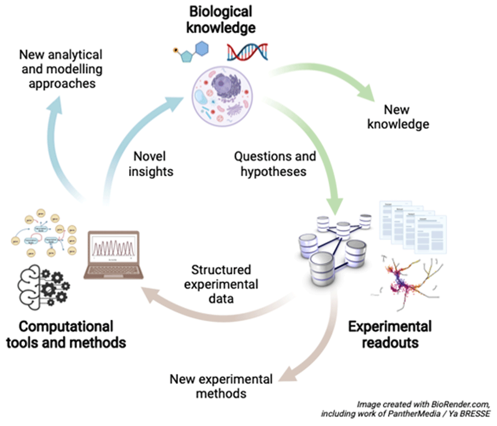 Systems Biology in ELIXIR: modelling in the... | F1000Research