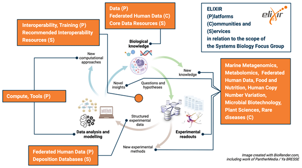Systems Biology in ELIXIR: modelling in the... | F1000Research