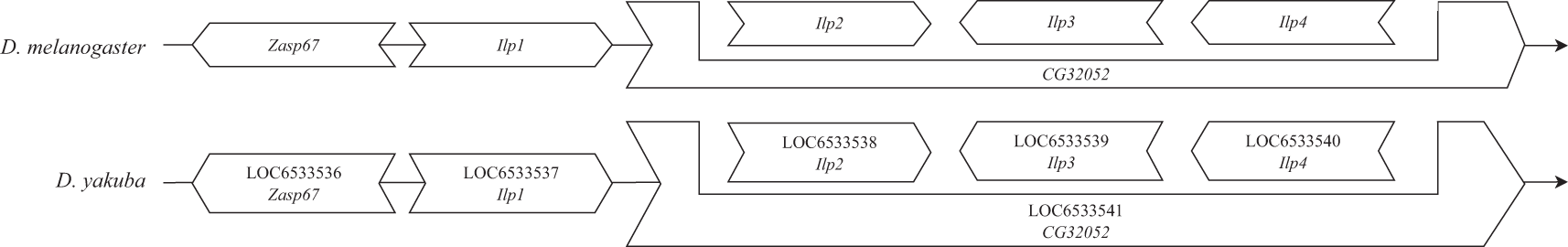 Manual annotation of Drosophila genes: a Genomics... | F1000Research