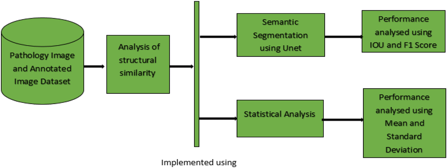 Automated segmentation of endometriosis using... | F1000Research