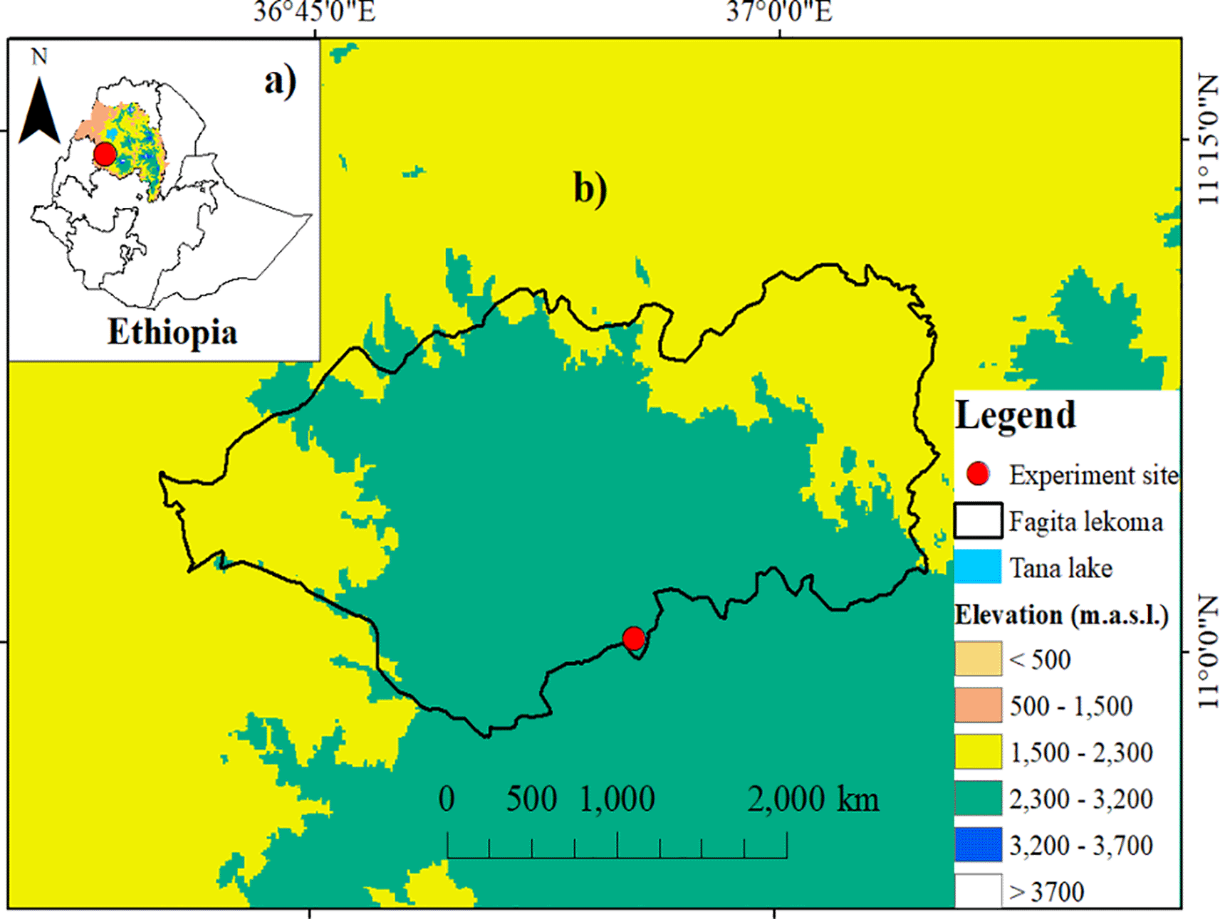 Effect of planting density on root biomass and... | F1000Research