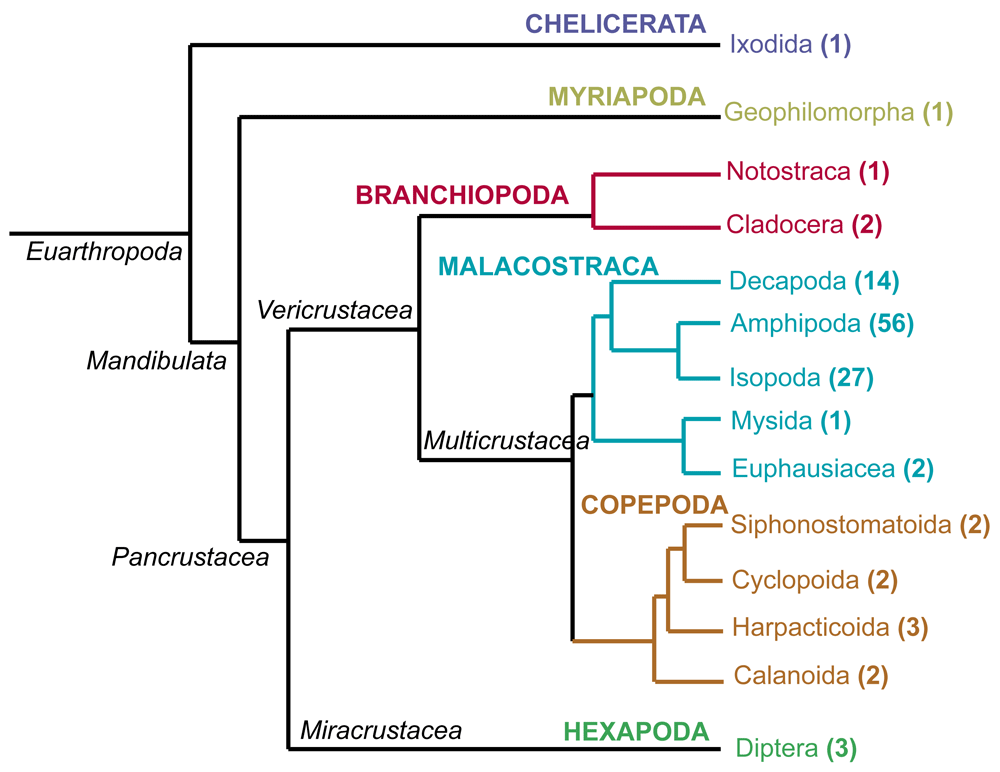 Comparative genomic analysis of crustacean... | F1000Research