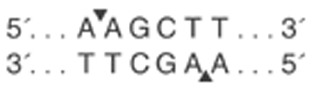Dyslipidemia: Genetics, lipoprotein lipase and... | F1000Research