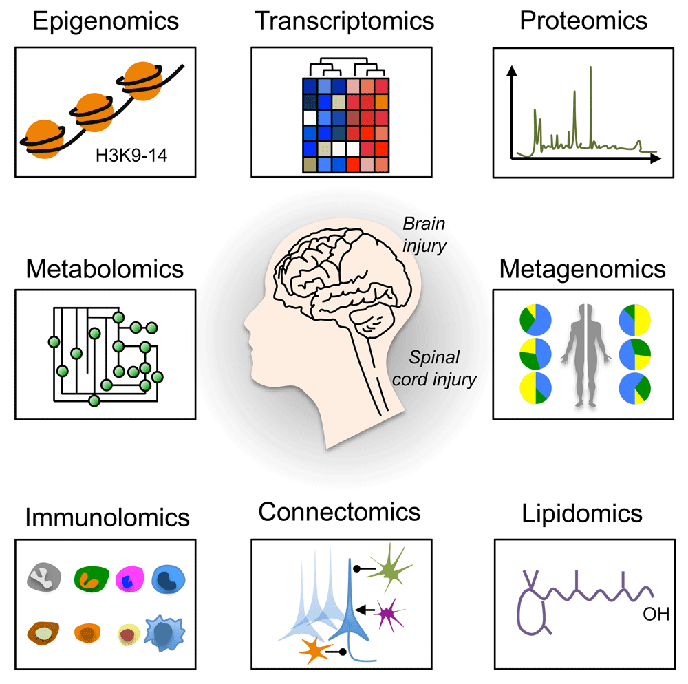 The Application of Omics Technologies to Study Axon... | F1000Research