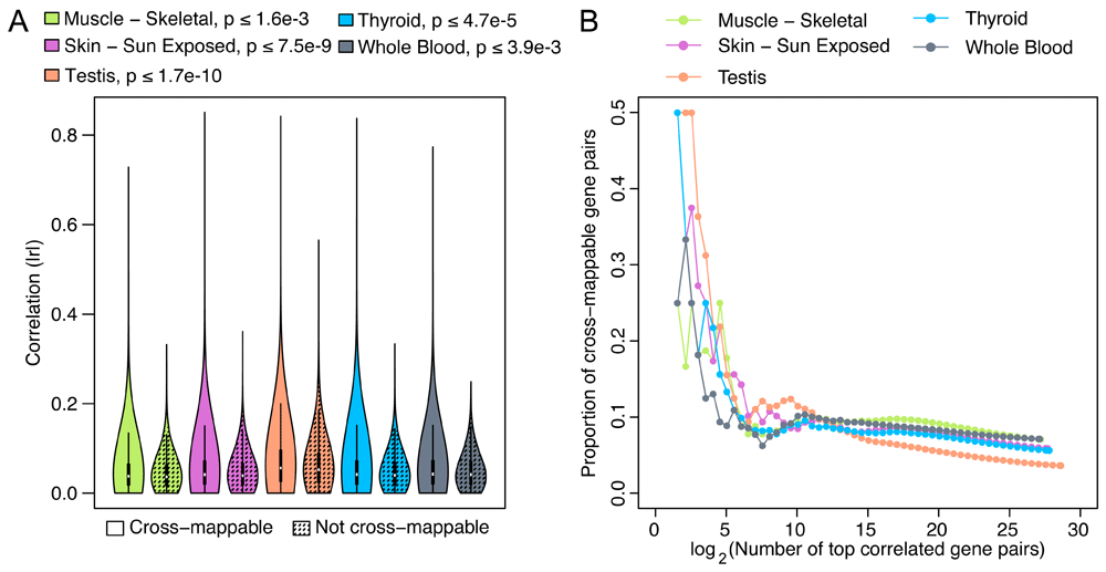 colors :) : randomly generated colorful gifs! - 动态图库网