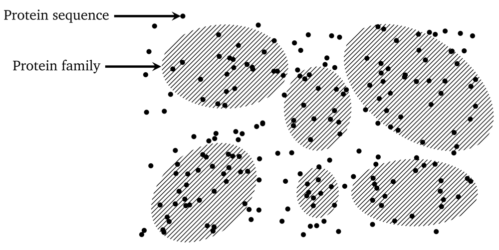 Rapid identification of novel protein families... | F1000Research