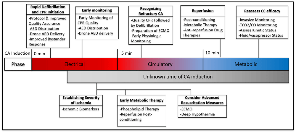 Recent advances in personalizing cardiac arrest... | F1000Research